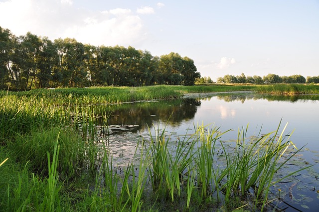 River Stream Creek - Free photo on Pixabay - Pixabay River Stream Creek - Free photo on Pixabay - Pixabay