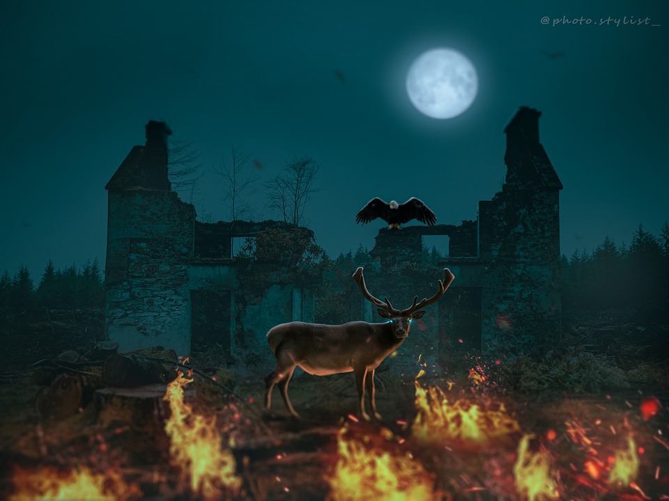 Foto-Manipulation Mond Nacht - Kostenloses Foto auf Pixabay