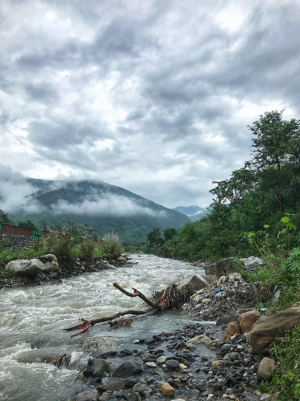 Monsoon India Nature - Free photo on Pixabay - Pixabay