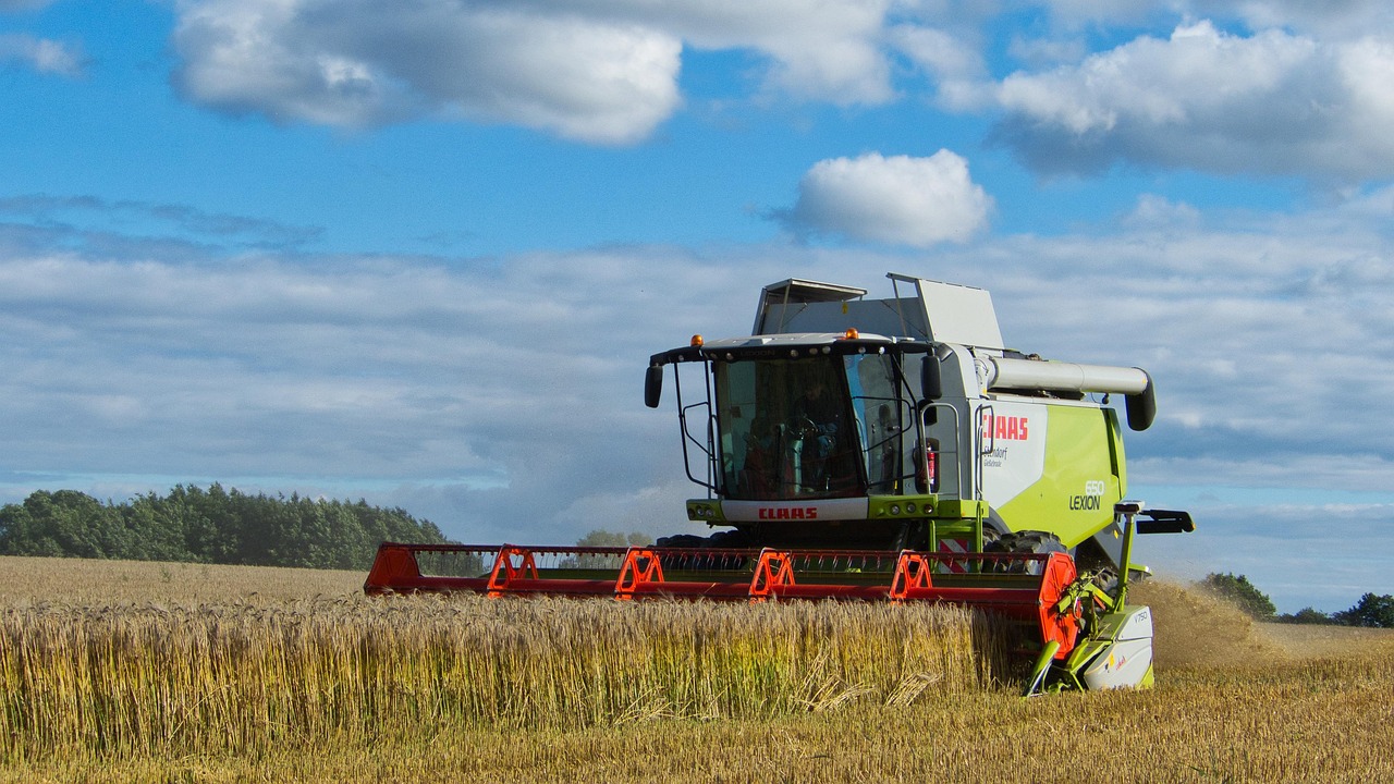 Field Barley Farm Yard - Free photo on Pixabay - Pixabay