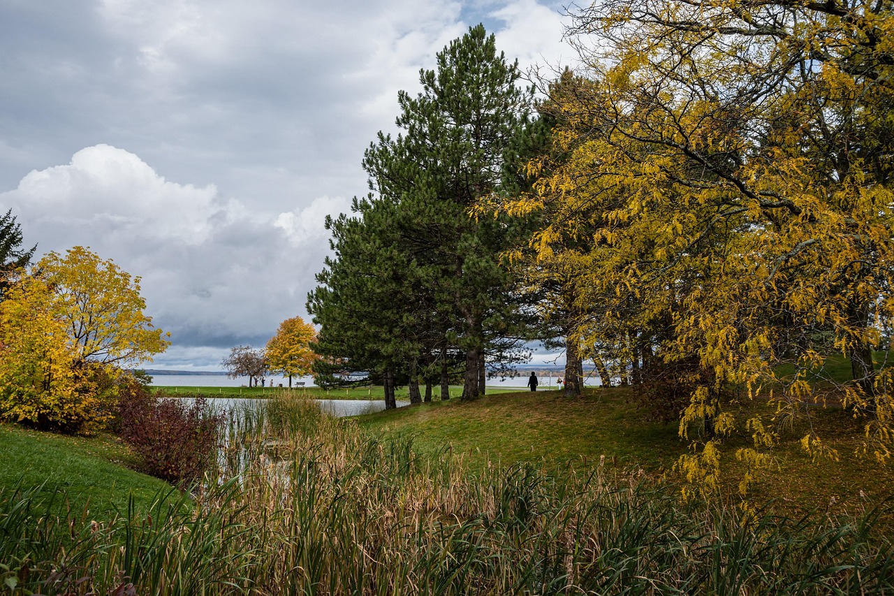 100+ Free Ottawa & Canada Images - Pixabay