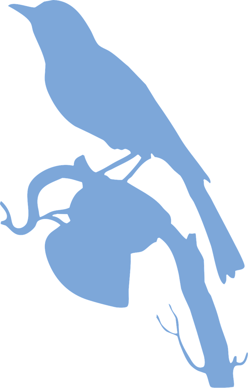 Songbird In Flight Silhouette