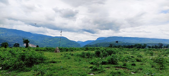 Bangladesh Sylhet Volaganj - Free photo on Pixabay - Pixabay