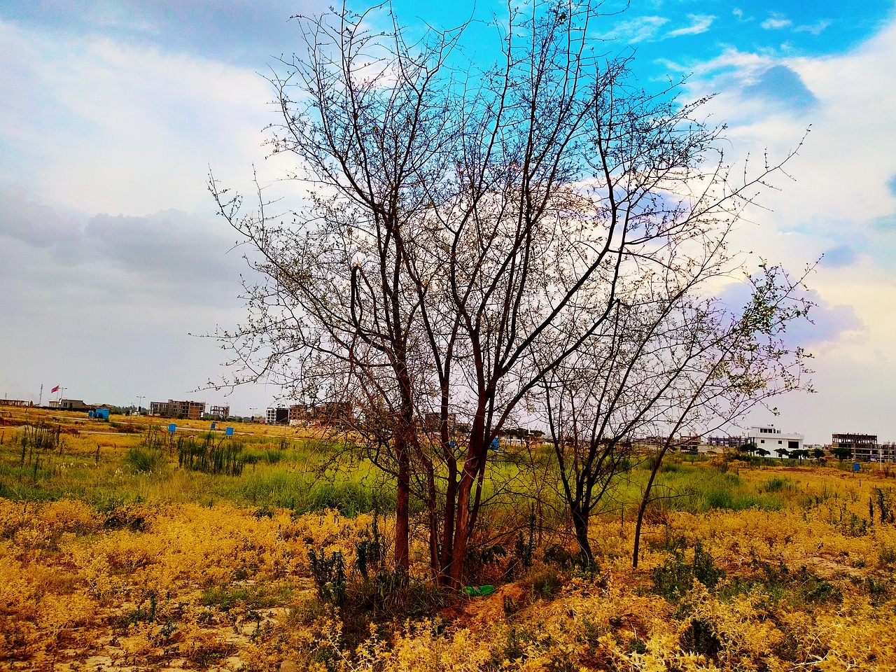 Pemandangan Yang Indah Dan Foto Gratis Di Pixabay Pixabay