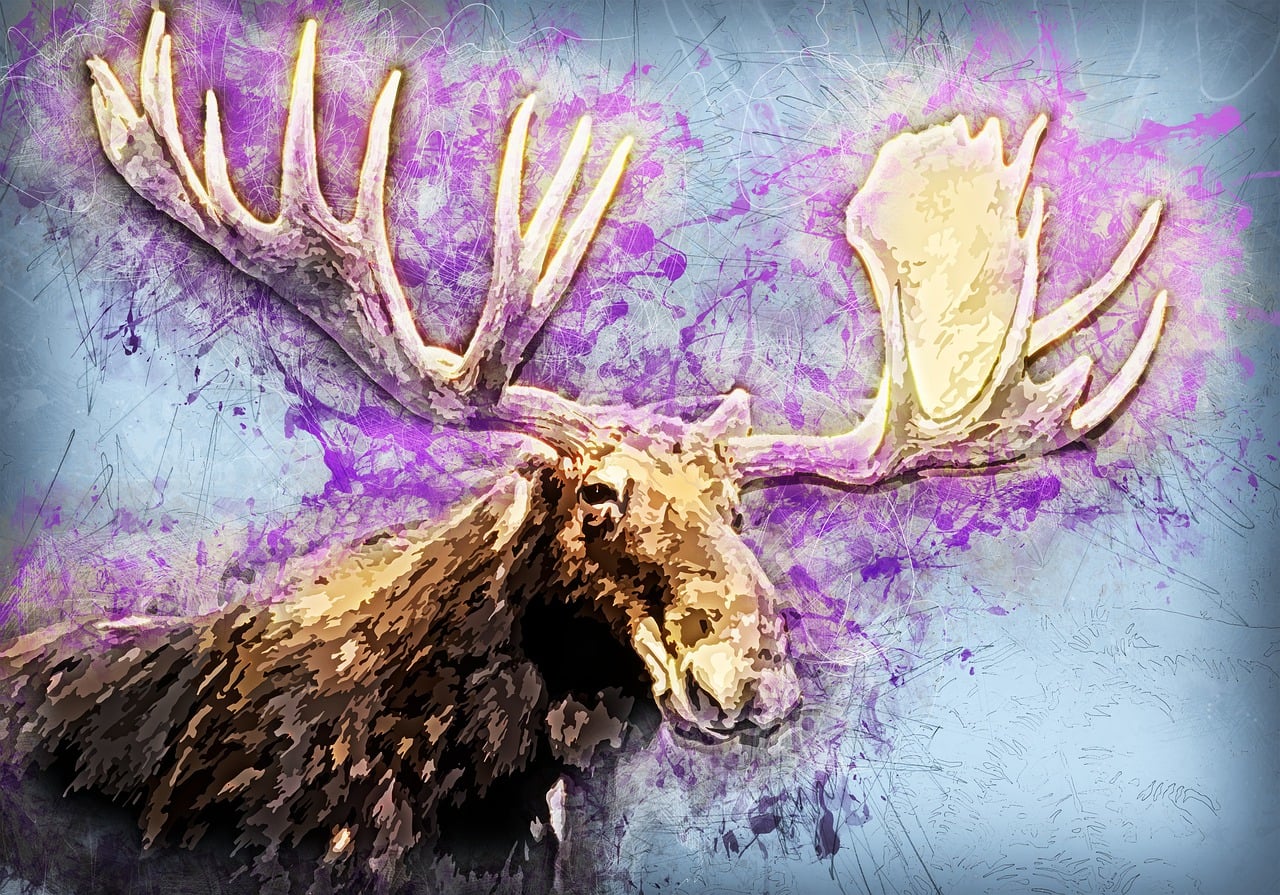 100+ Free Caribou & Nature Images - Pixabay
