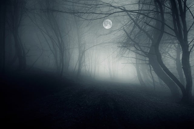 300,000+ Free Spooky Landscape & Spooky Images - Pixabay
