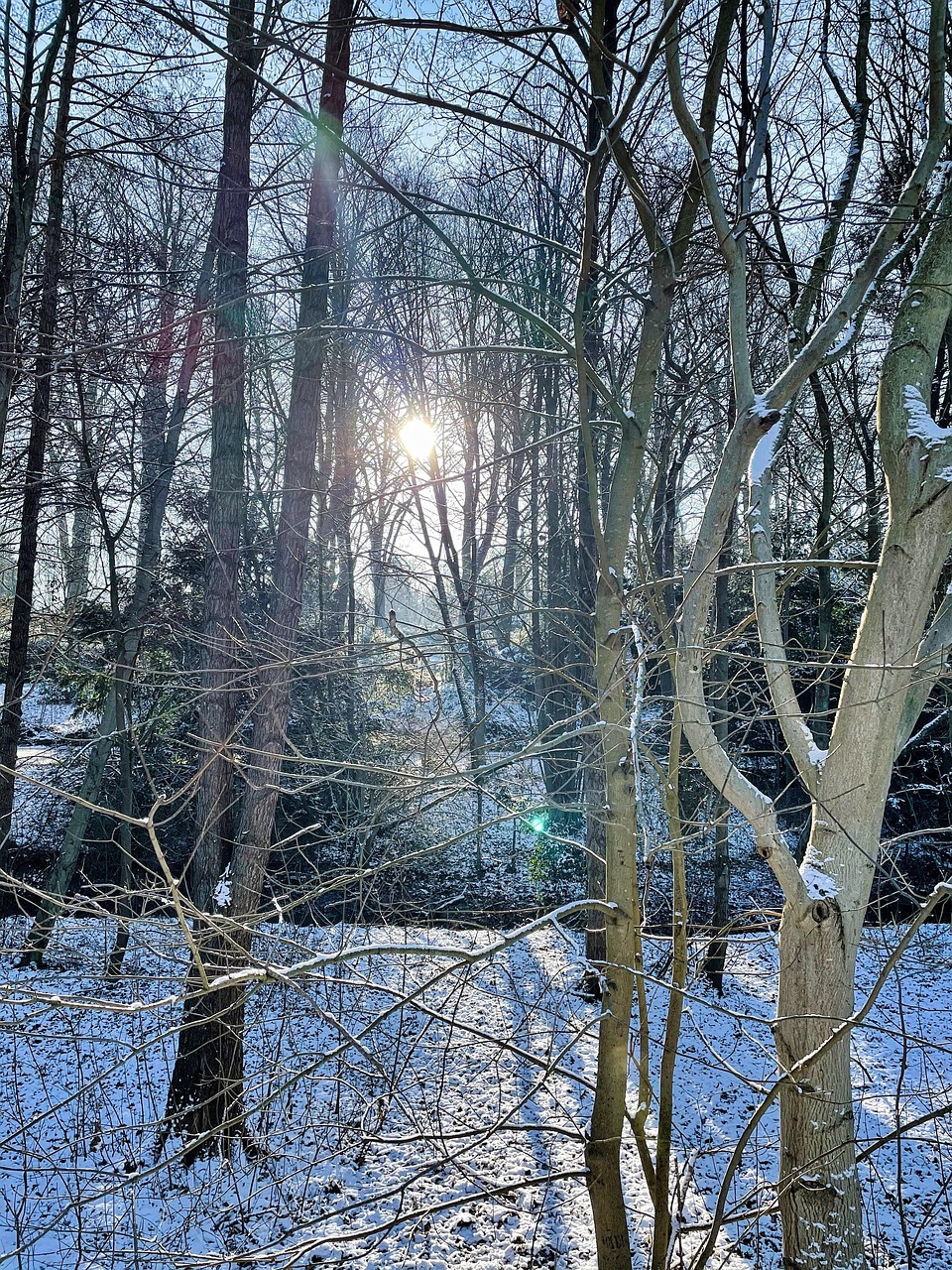 Sun Cold Winter - Free photo on Pixabay - Pixabay