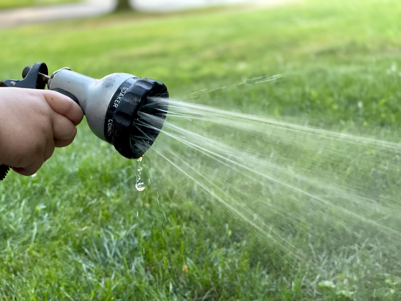 Garden Hose Gardening - Free photo on Pixabay - Pixabay