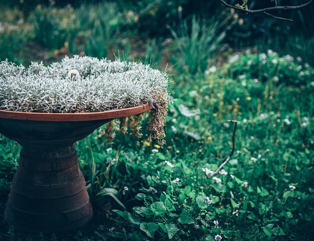 Nostalgie Garden Flowers - Photo gratuite sur Pixabay - Pixabay
