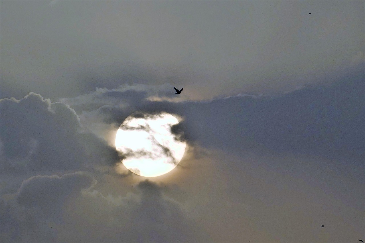 Sol Al Amanecer Cielo - Foto gratis en Pixabay - Pixabay