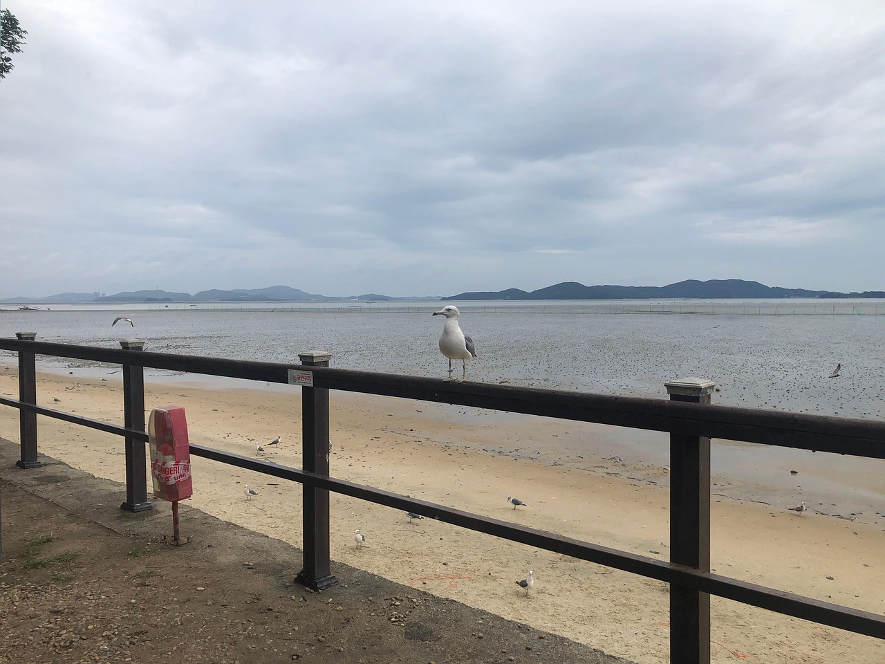 Incheon Mer De L'Ouest Océan - Photo gratuite sur Pixabay - Pixabay