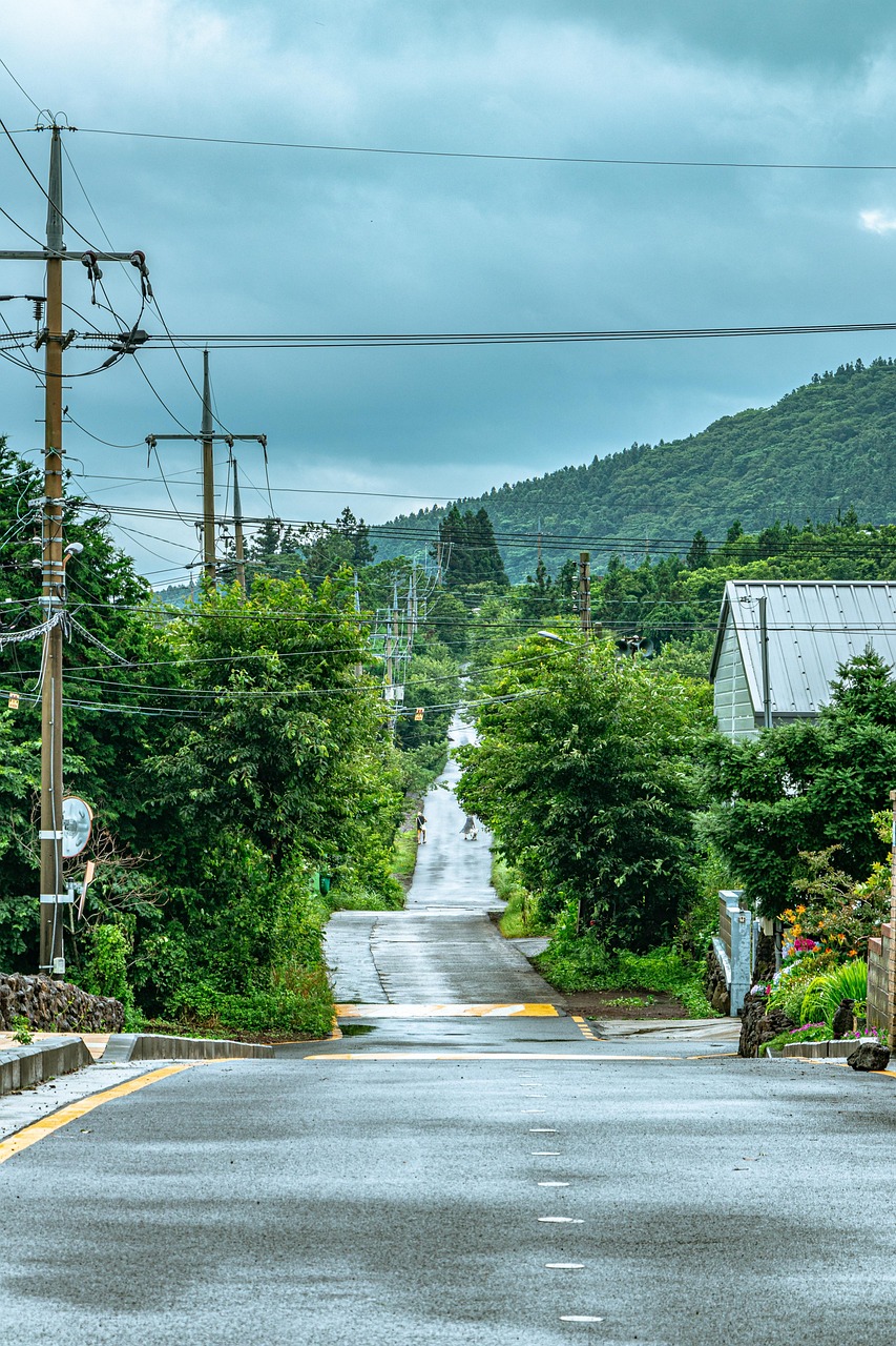 Jalan Menanjak Pohon - Foto gratis di Pixabay - Pixabay
