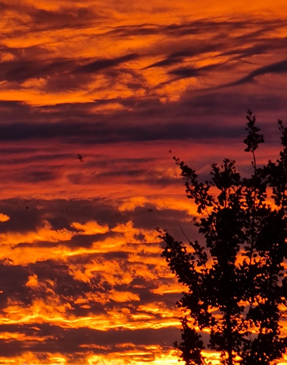 Orange Sonnenuntergang Himmel - Kostenloses Foto auf Pixabay - Pixabay