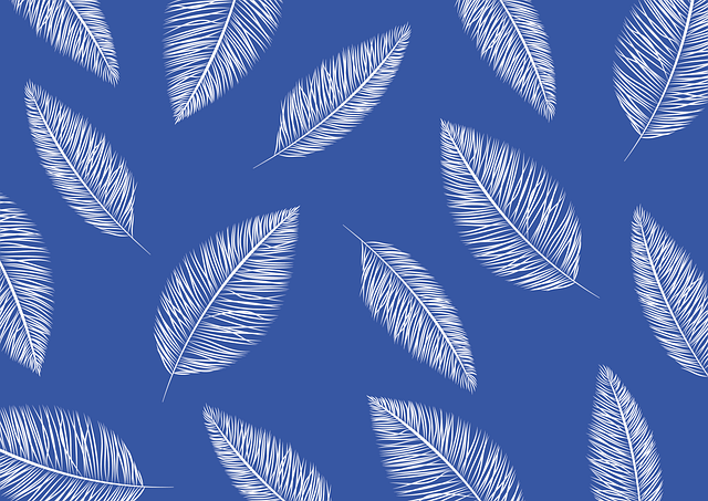 400,000+ Free Feather Background & Feather Images - Pixabay