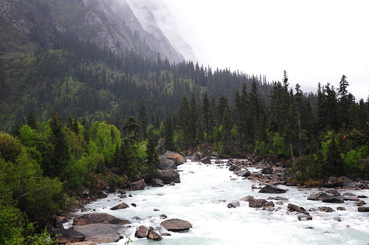 Fleuve Forêt Montagne - Photo gratuite sur Pixabay - Pixabay