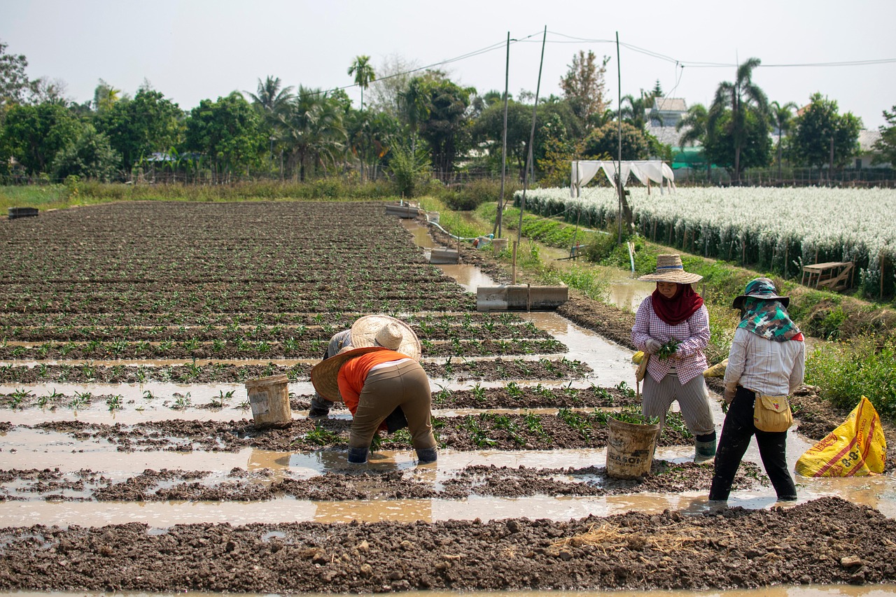 Farmers Planting Farm - Free photo on Pixabay - Pixabay