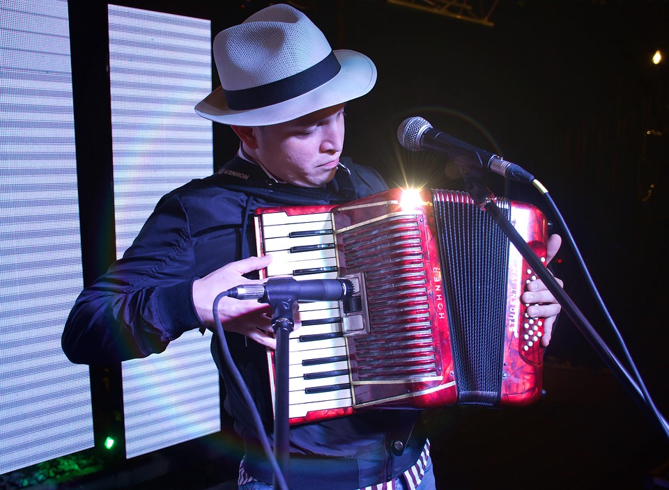 Acordeón Músico Instrumento - Foto gratis en Pixabay - Pixabay