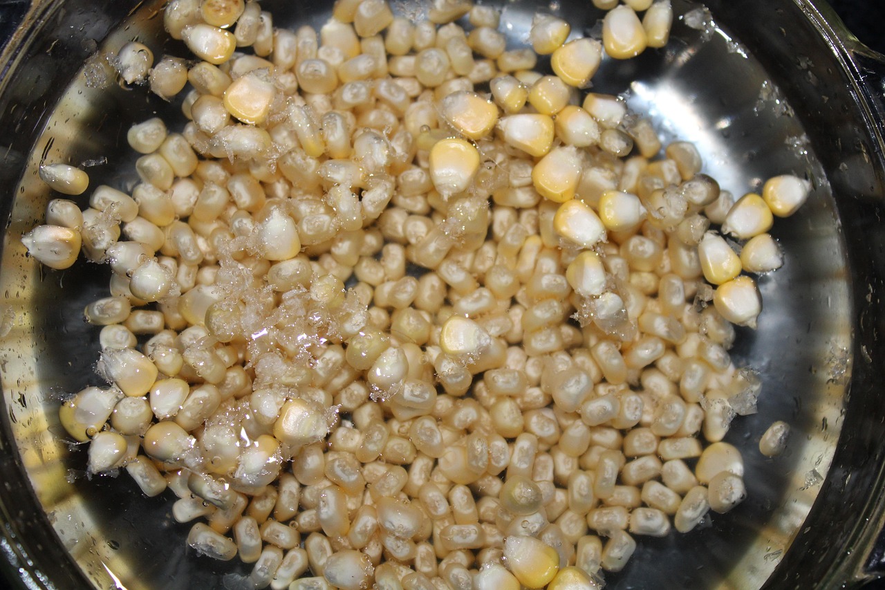 Corn Kernels Boil - Free photo on Pixabay - Pixabay