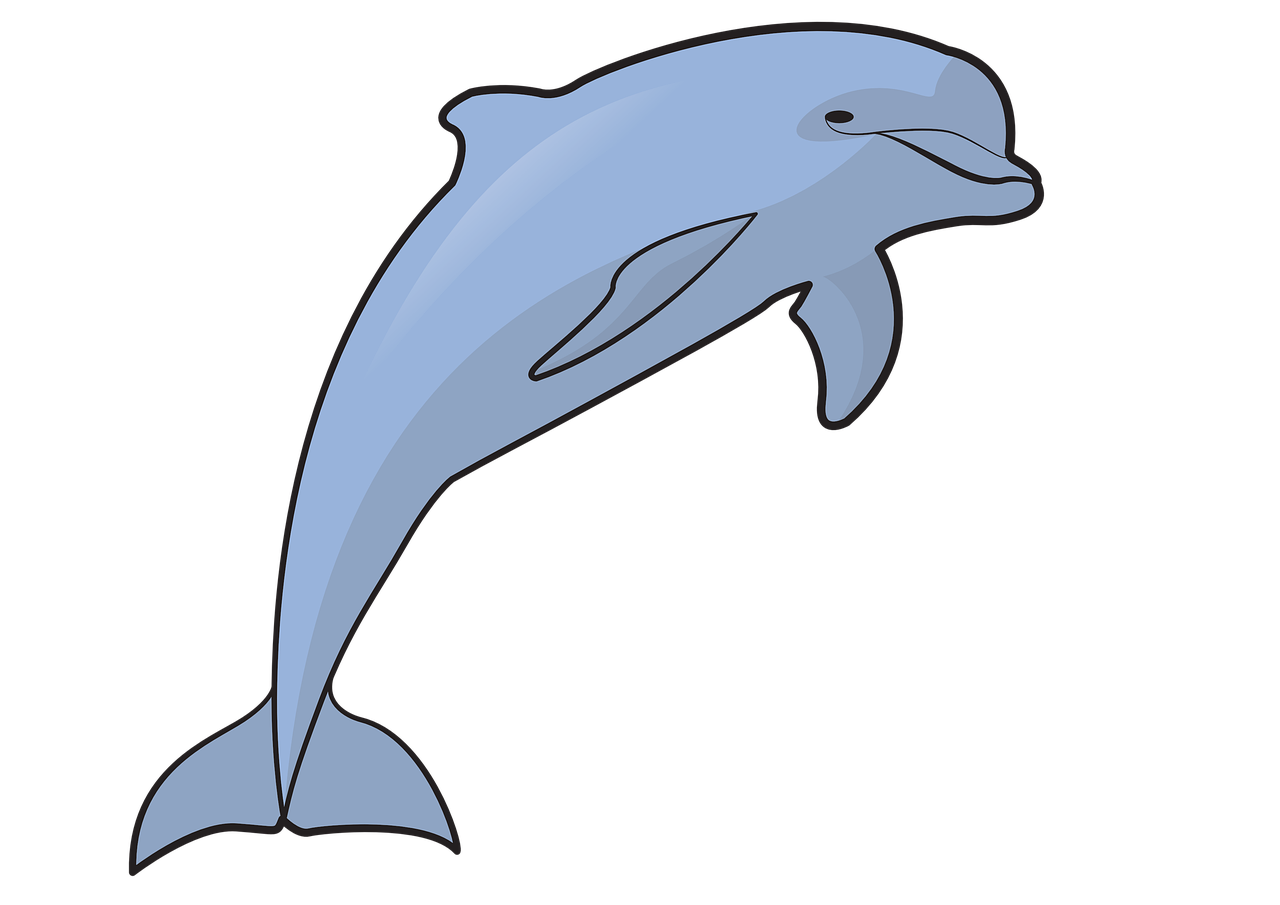 Download Dolphin, Animal, Marine. Royalty-Free Stock Illustration Image ...