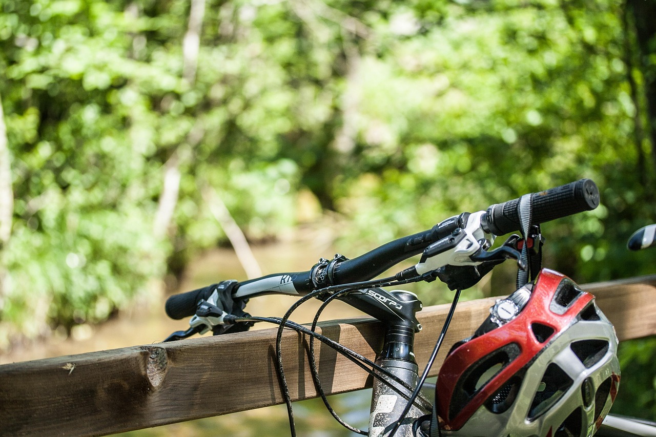 Mountain Bike Bicycle Trail - Free photo on Pixabay