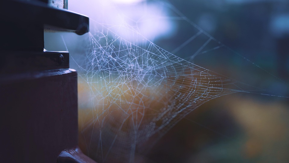 Spinnenweb Spinneweb Val - Gratis foto op Pixabay - Pixabay