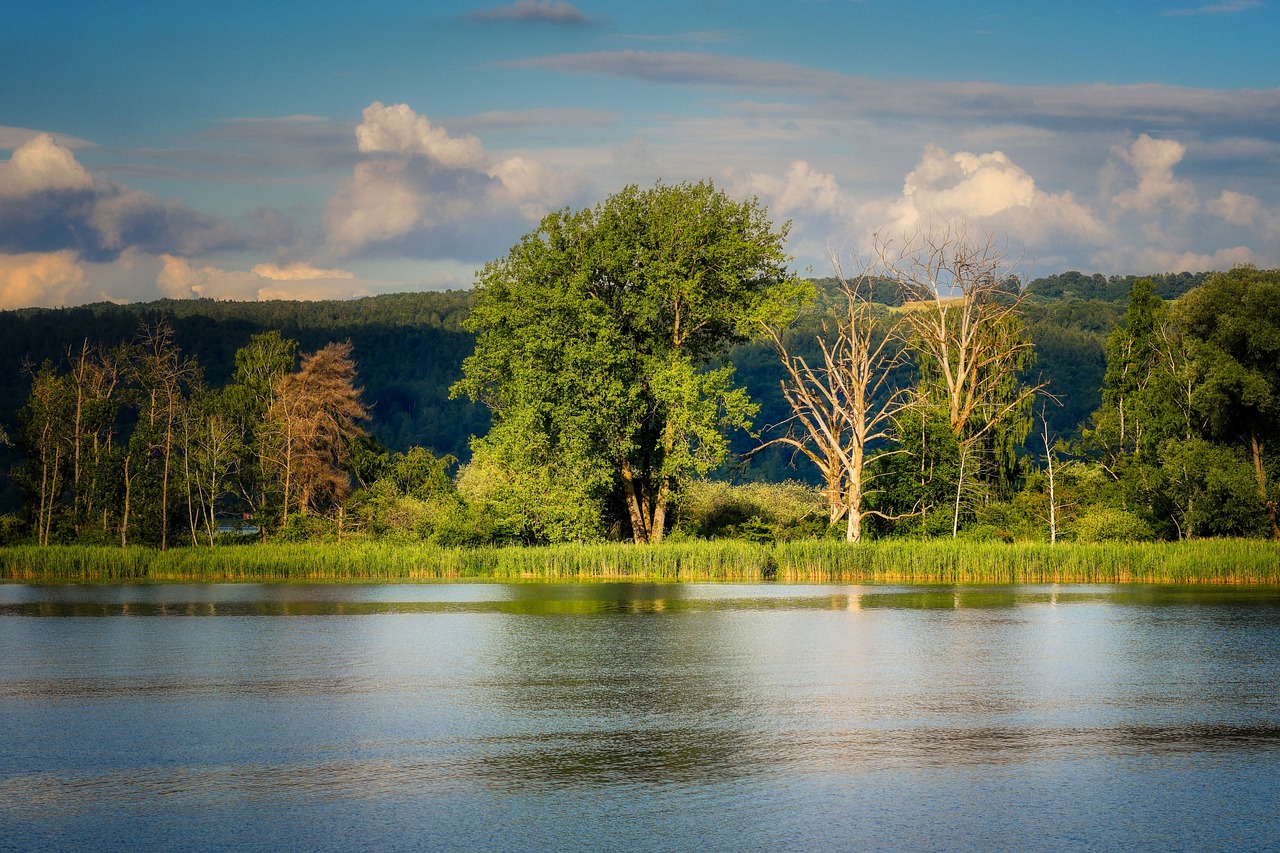1,400,000+ Free Nature Rain Ambiance & Rain Images - Pixabay