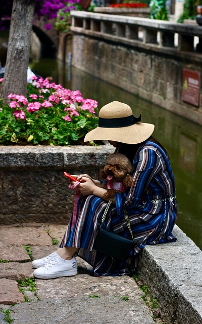 Cute Dog China Lady - Free photo on Pixabay - Pixabay