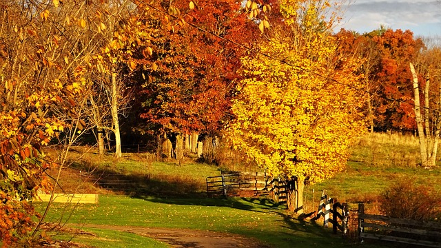 Autumn Upstate New York Landscape - Free photo on Pixabay - Pixabay