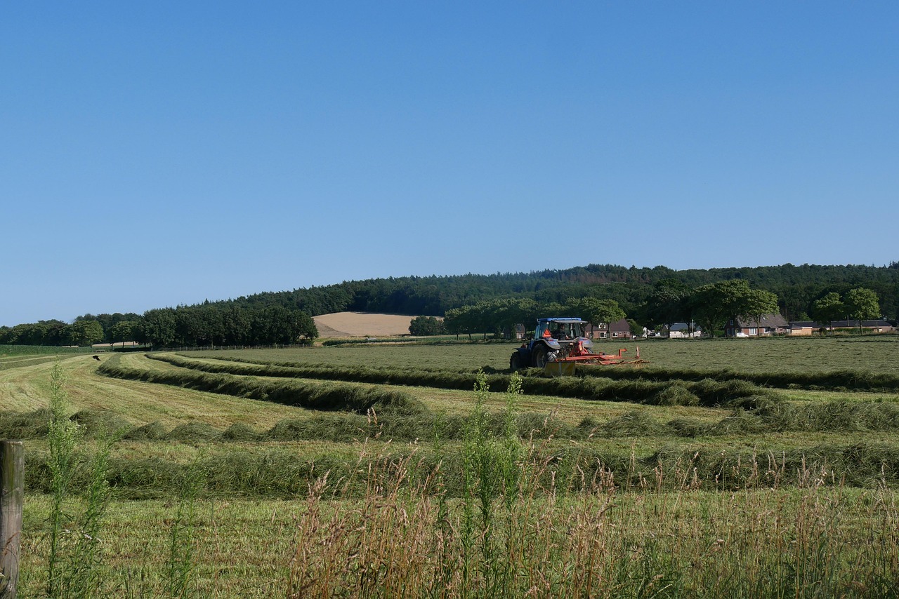 Grass Meadow Farm - Free photo on Pixabay
