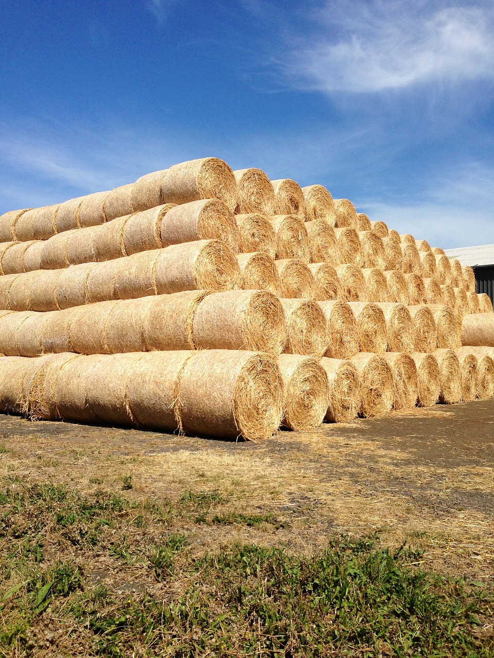 Hay Hay Bale Farm Free Photo On Pixabay Pixabay
