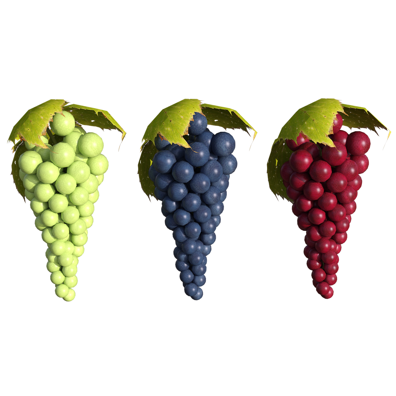 Download Grapes, Fruits, Food. Royalty-Free Stock Illustration Image ...