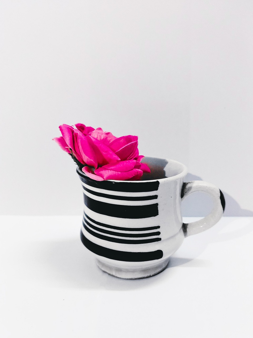 Cup Beautiful Rose - Free photo on Pixabay - Pixabay