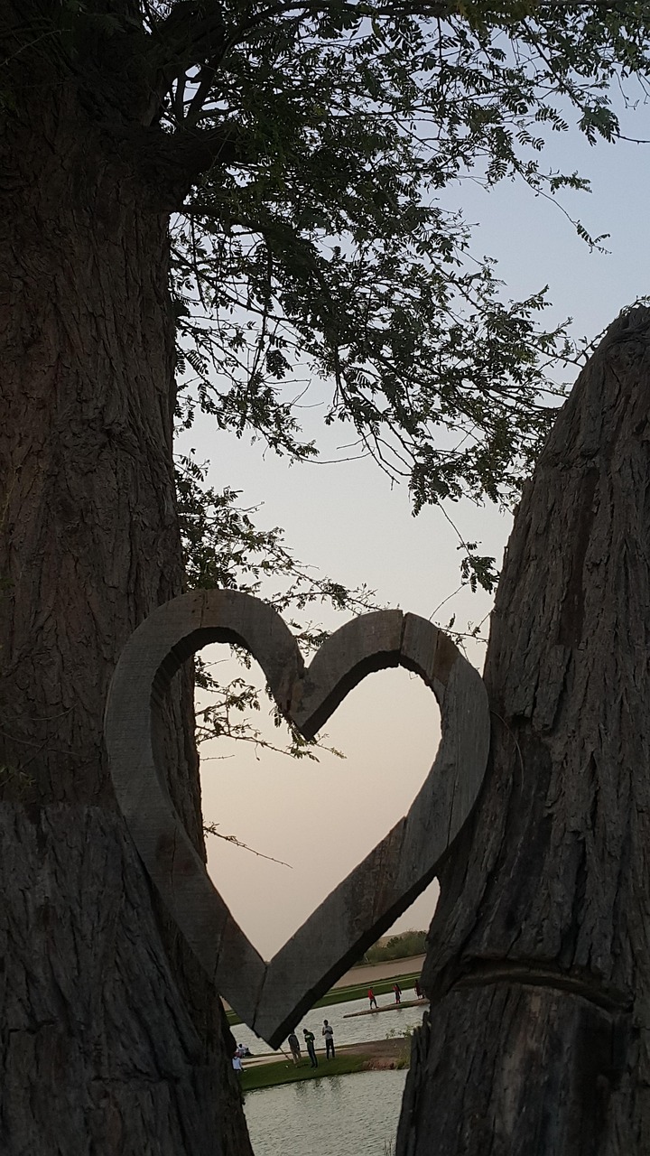 Heart Tree - Free photo on Pixabay - Pixabay