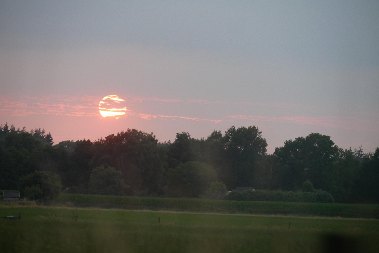 Sun Evening Sunlight - Free photo on Pixabay - Pixabay