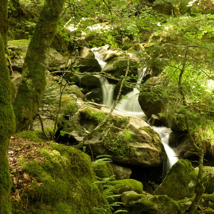 Cascade Wilderness Stream - Free photo on Pixabay