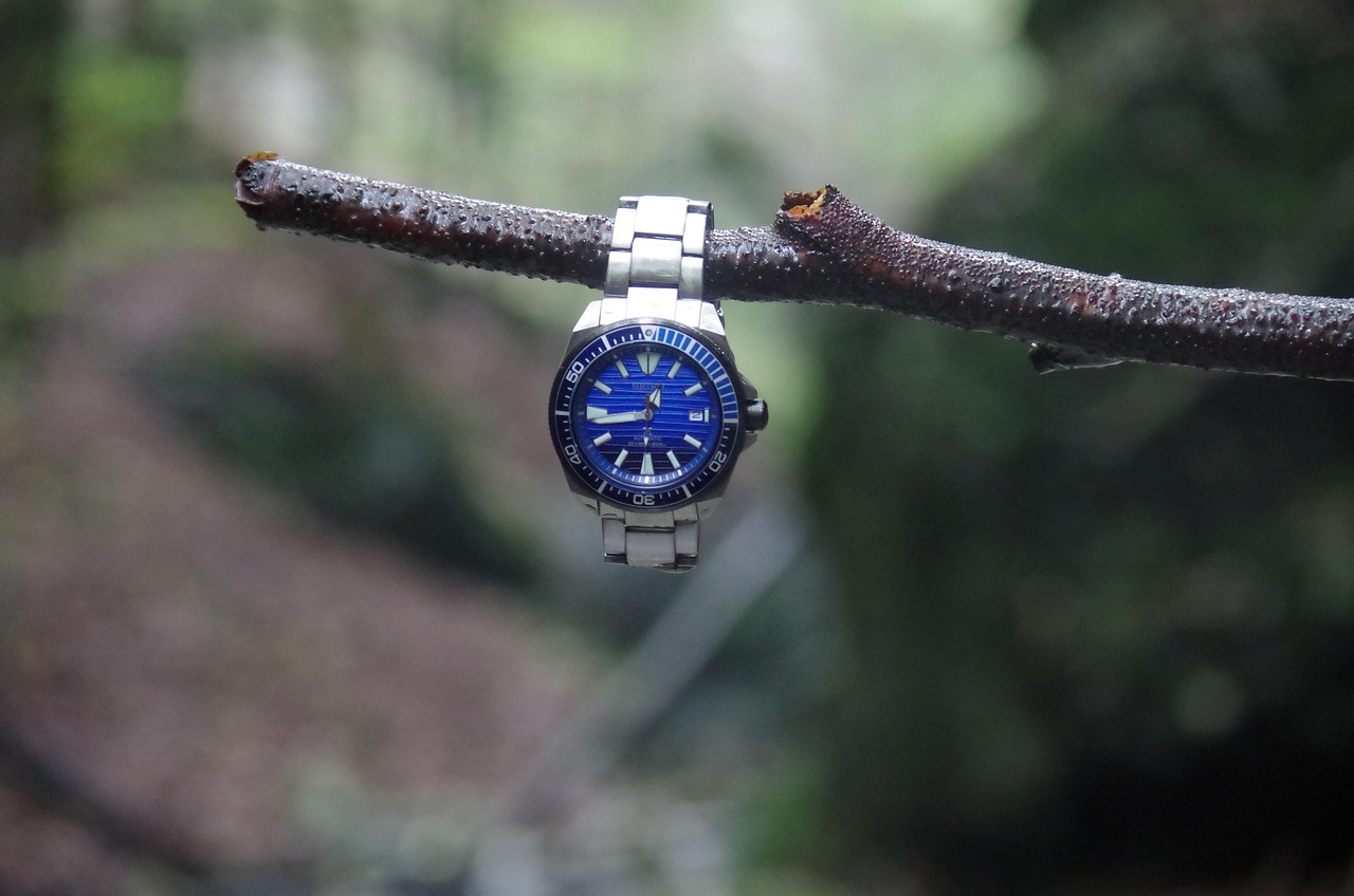 Watch Wrist Accesory - Free photo on Pixabay