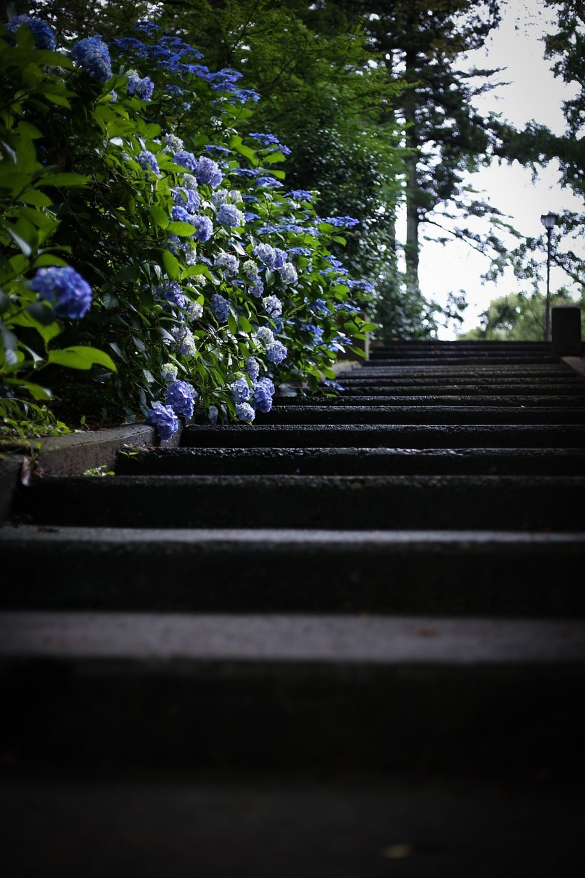 200+ Free Stairs Background & Stairs Images - Pixabay