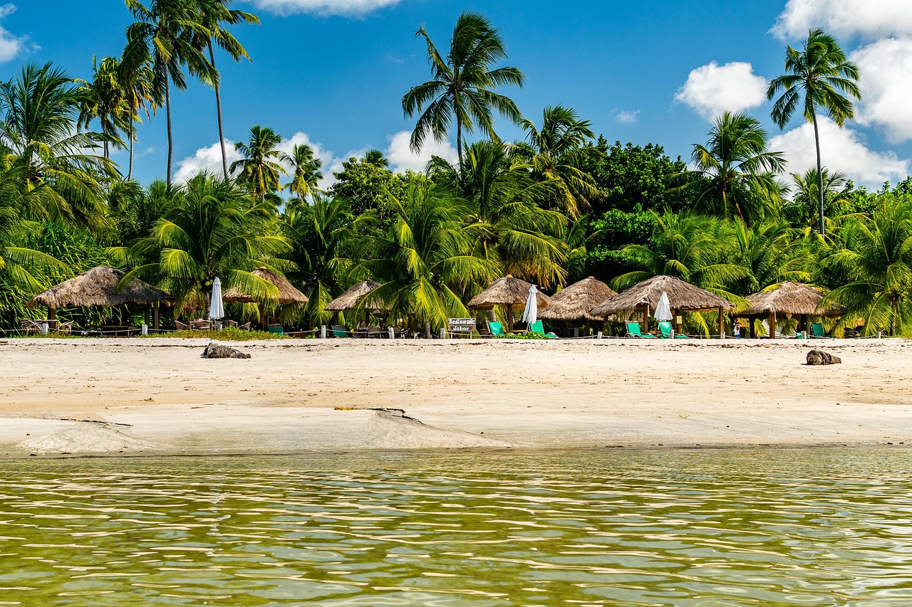 Resort Island Brazil - Free photo on Pixabay - Pixabay