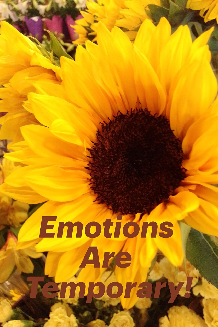 Motivational Quote Sunflower - Free photo on Pixabay - Pixabay