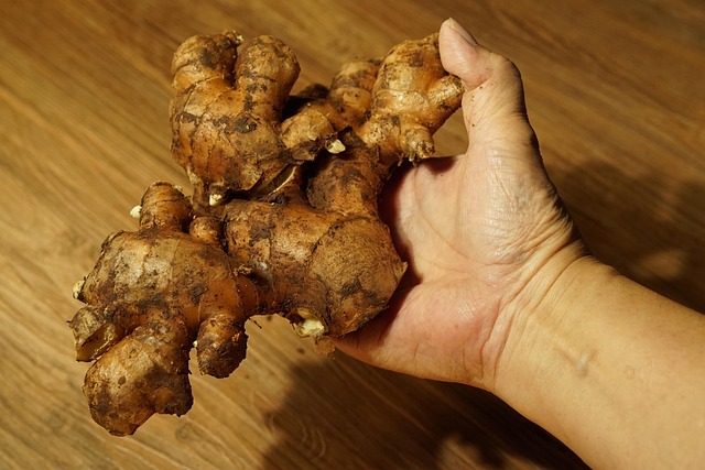 Ginger Fresh Food - Free photo on Pixabay - Pixabay