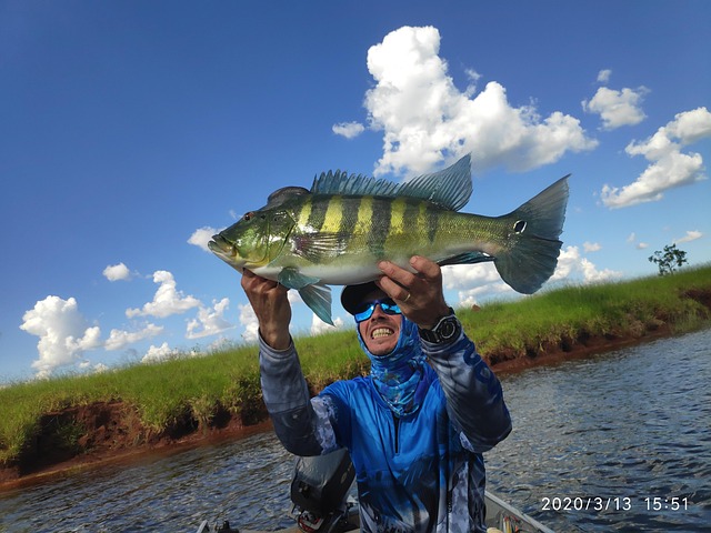 Blue Peacock Bass Fisherman Aporé - Free photo on Pixabay - Pixabay