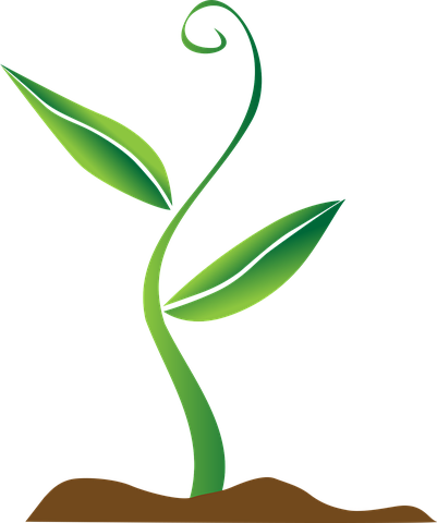 20+ Free Sprout & Seedling Vectors - Pixabay