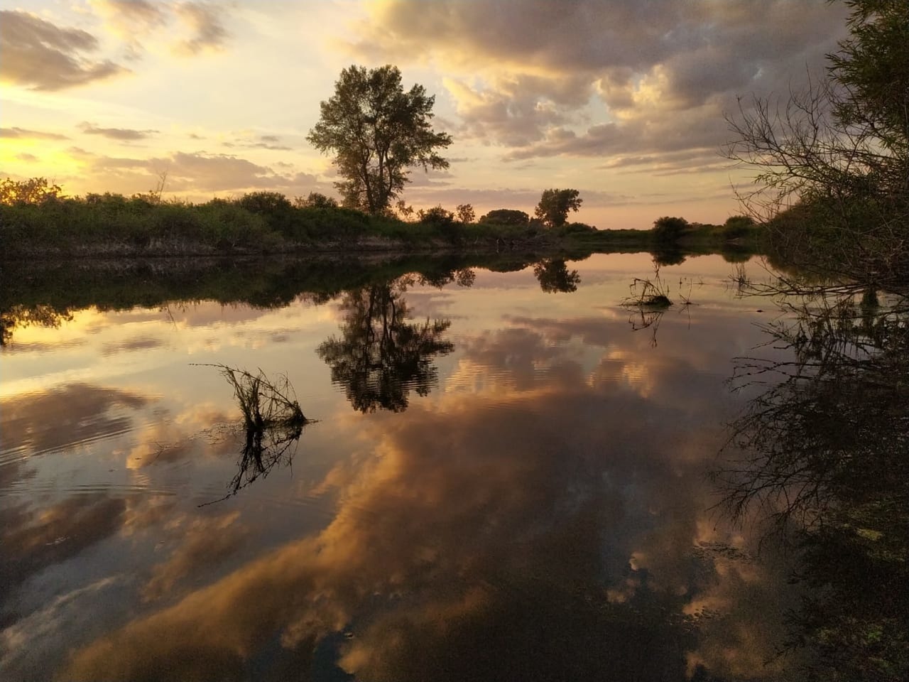 Mobile Photo Without Filters - Free photo on Pixabay - Pixabay