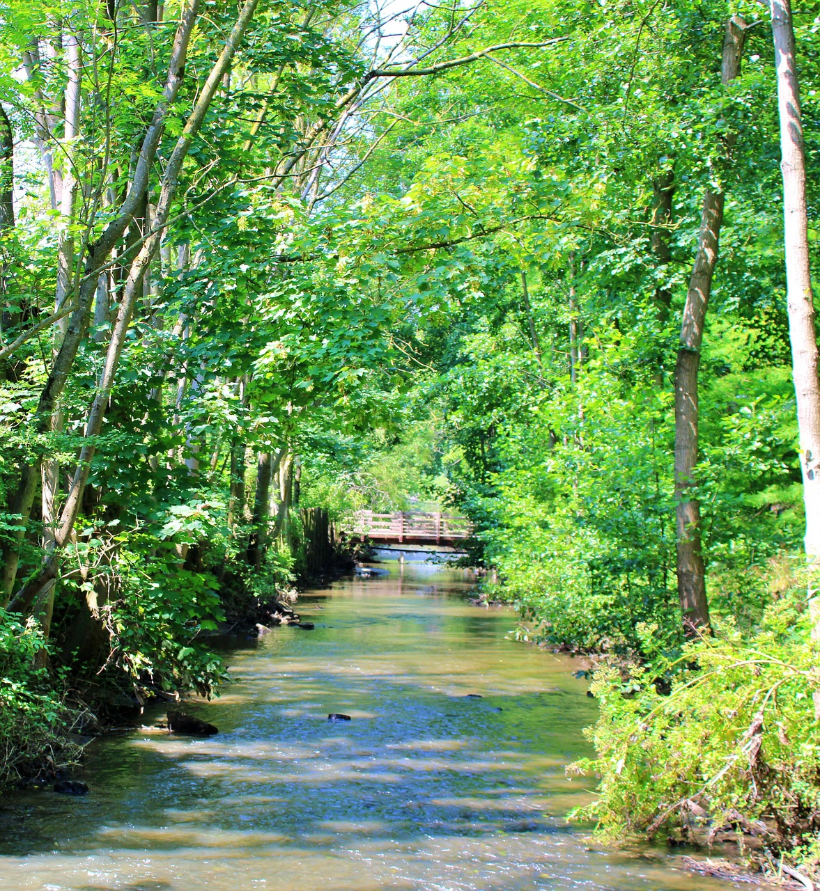 River Water Nature - Free photo on Pixabay - Pixabay