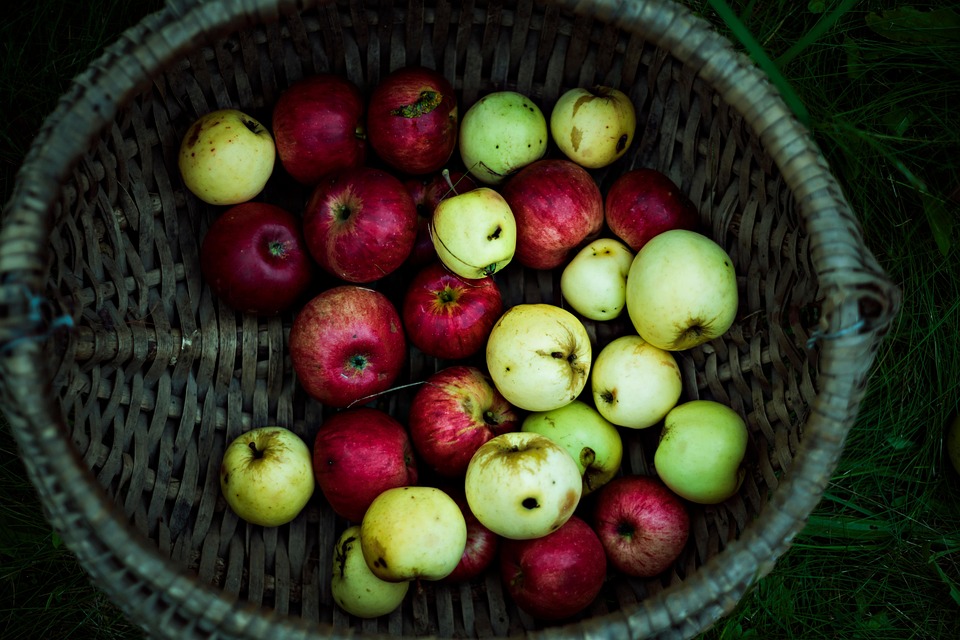 Apples Fruits Food - Free photo on Pixabay - Pixabay