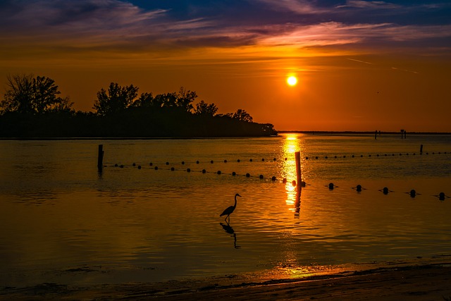 5,000+ Free Gulf Of Mexico & Mexico Photos - Pixabay
