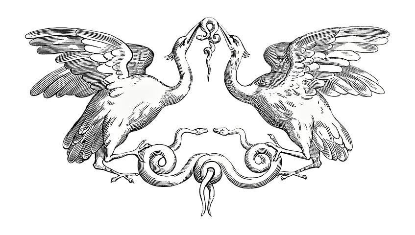 100+ Free Serpent & Snake Illustrations - Pixabay