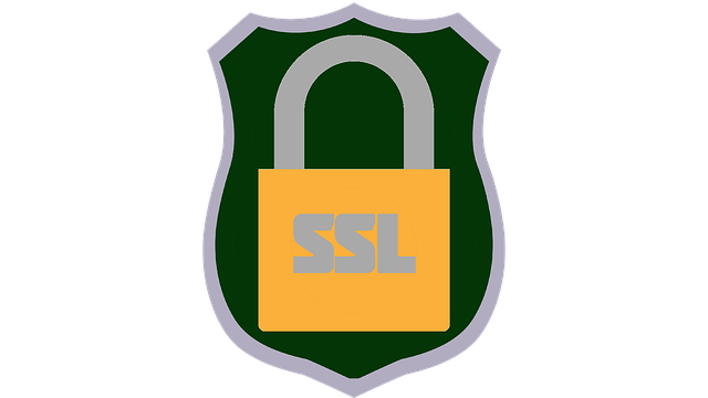 Download Ssl, Safe, Security. Royalty-Free Stock Illustration Image ...