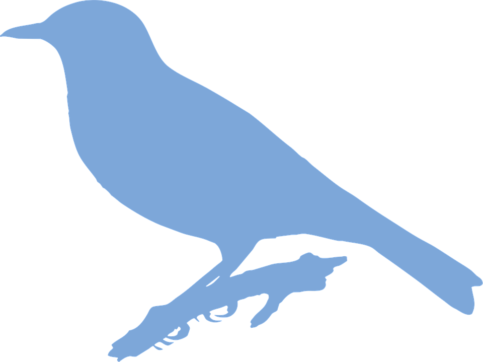 Vogel Sitzend Silhouette - Kostenlose Vektorgrafik auf Pixabay - Pixabay