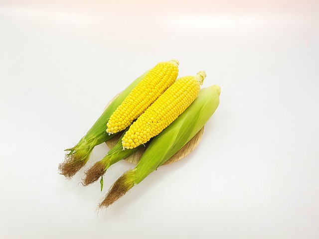 Corn Harvest Healthy Zea - Free photo on Pixabay - Pixabay